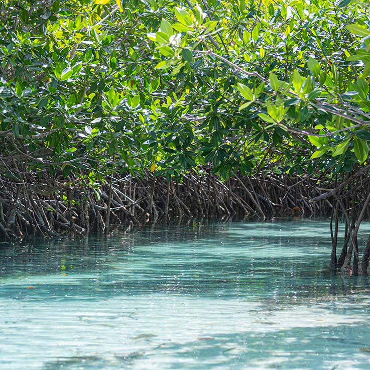 Climate Adaptation Means Building Social Infrastructure