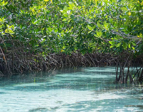 Climate Adaptation Means Building Social Infrastructure