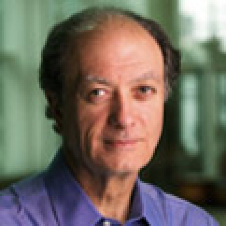 Mario Marino | Bio